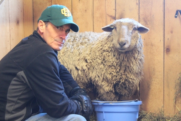 Farm Doctor - Savage Hart Farm
