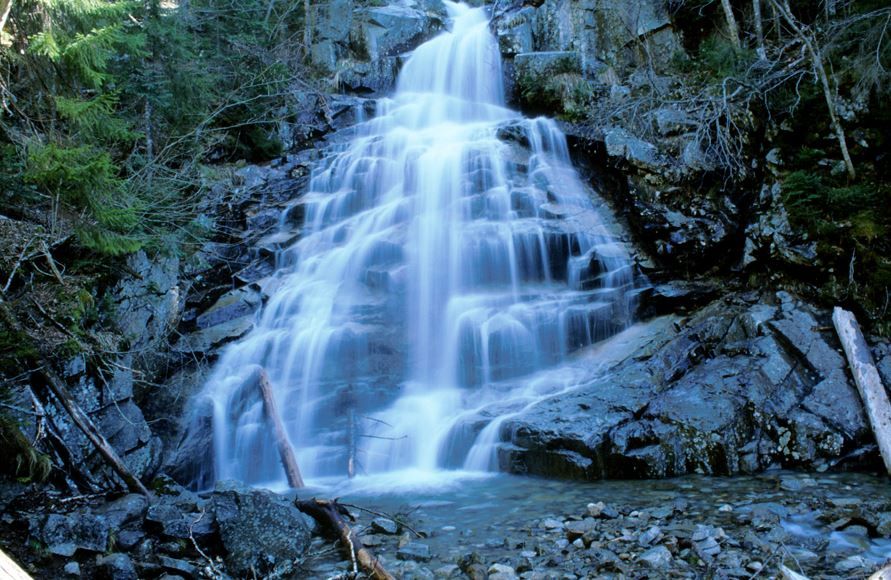 Chutes and Ladders - Savage Hart Farm