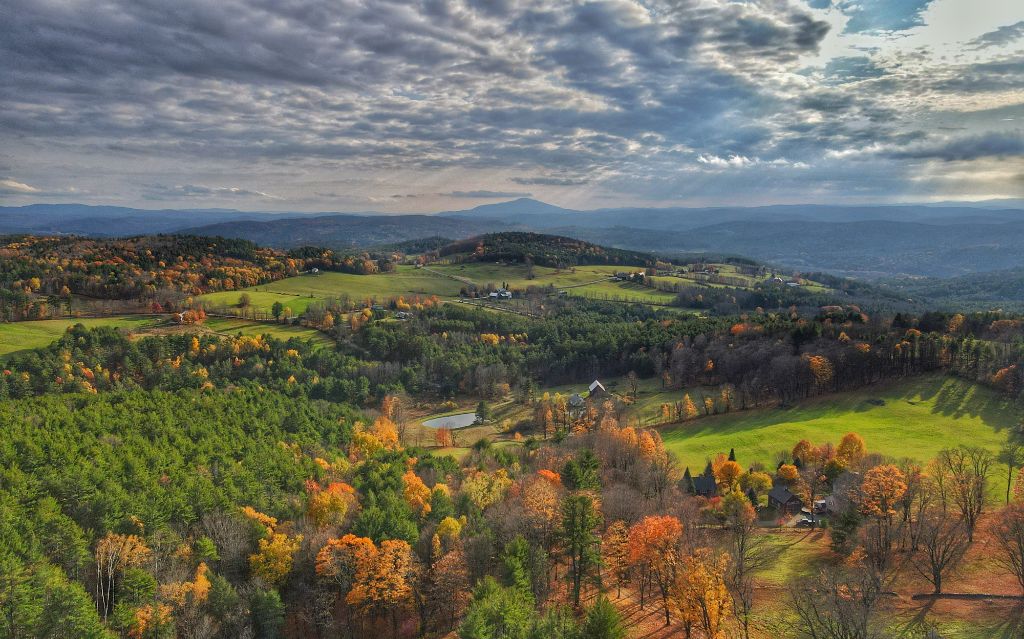 default - Savage Hart Farm